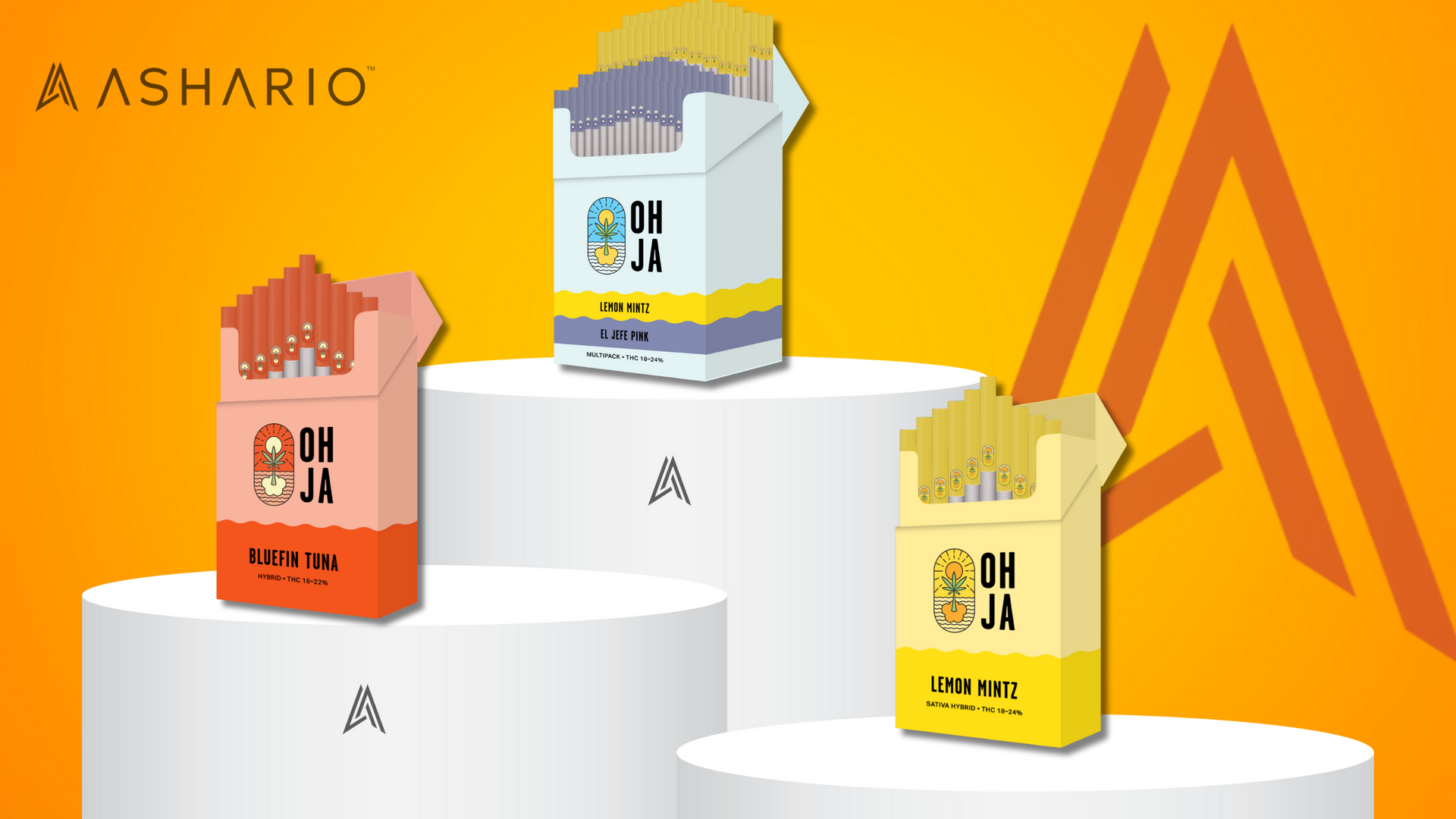 Brand Spotlight: OHJA – Ashario