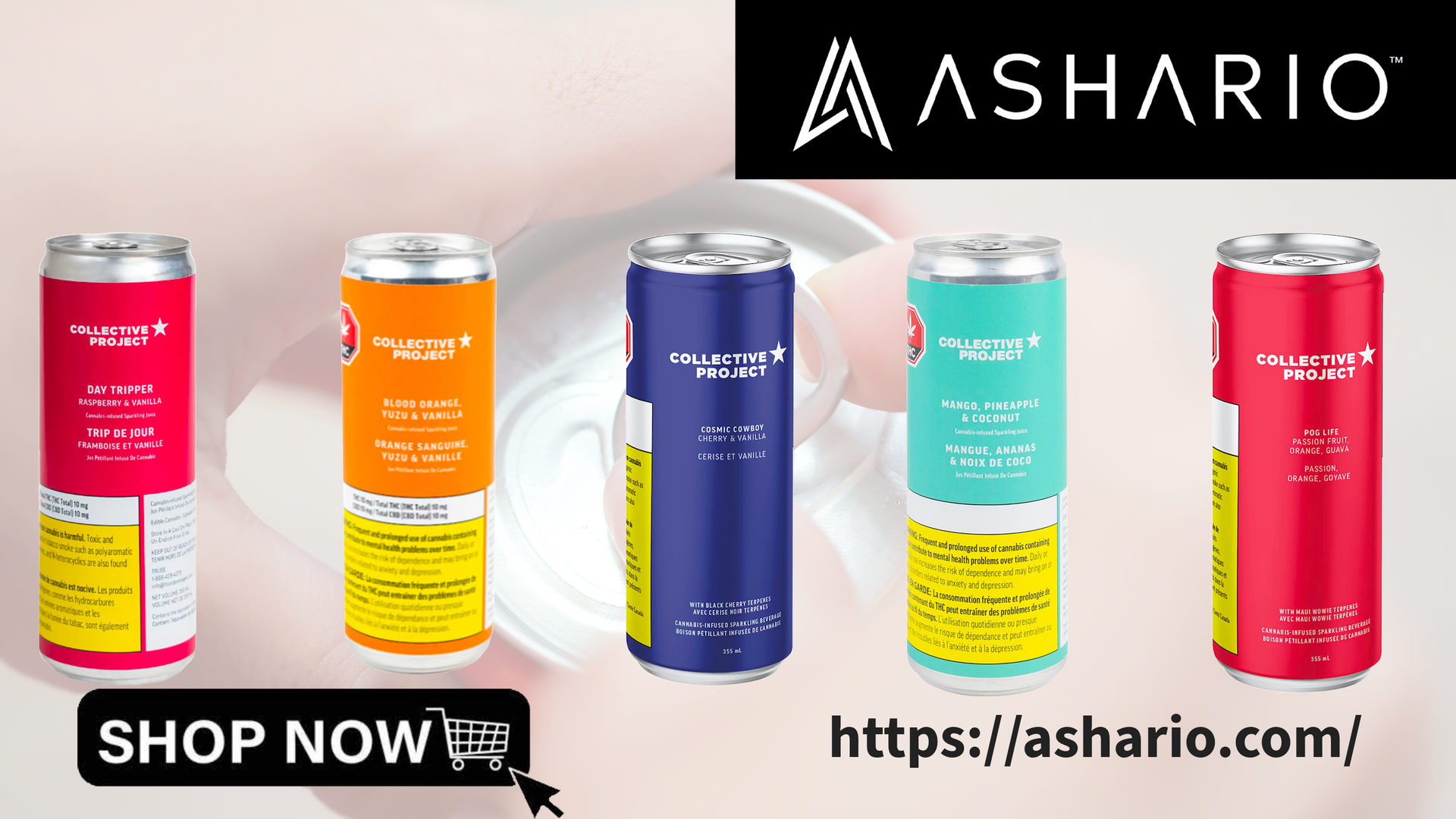 Ashario Cannabis Brand Spotlight: Collective Project