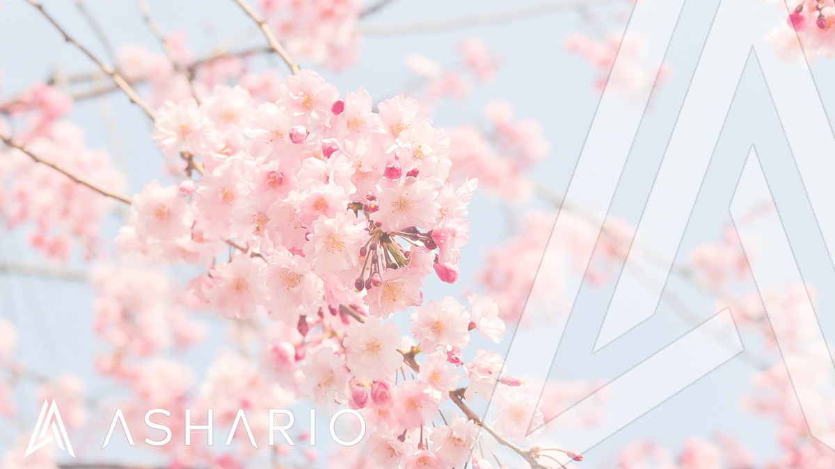 Spring Cleaning Your Cannabis Equipment – Ashario